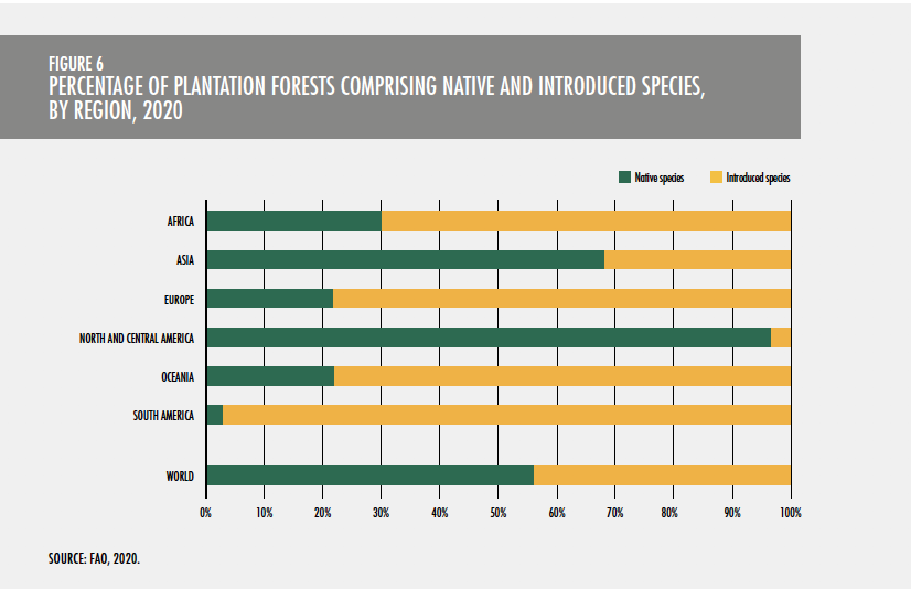 The State of the World's Forests in 2020 | One Tree Planted