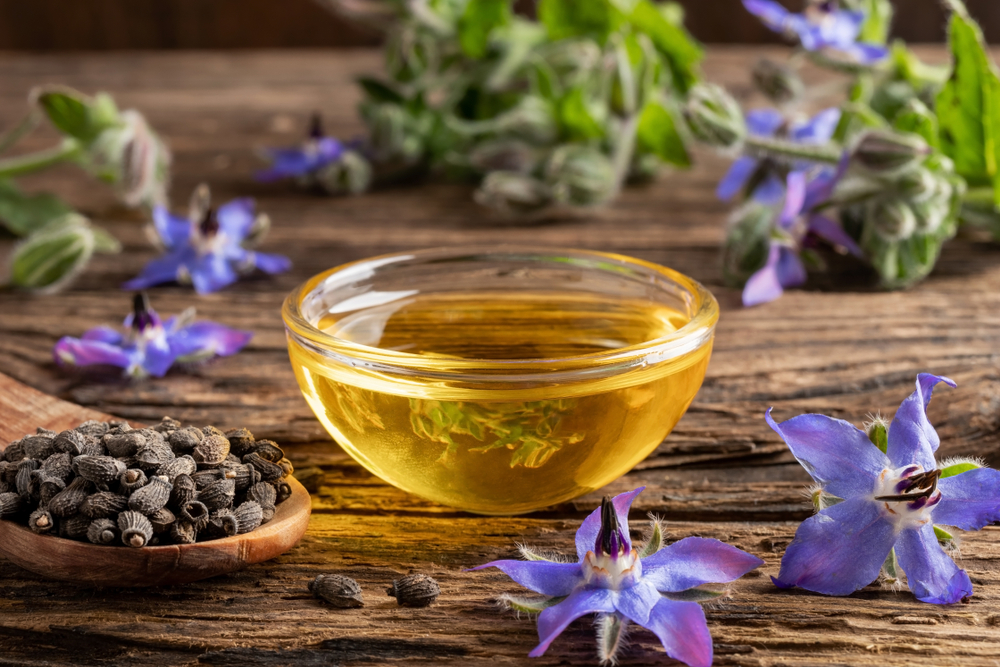 Spotlight On Borage Seed Oil Benefits Explained Re Skin Spotlight On Borage Seed Oil Benefits Explained Re Skin